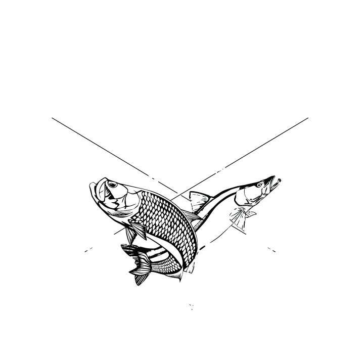 Home | No Doubt Charterz